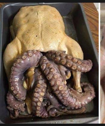 Gross Disturbing Pictures